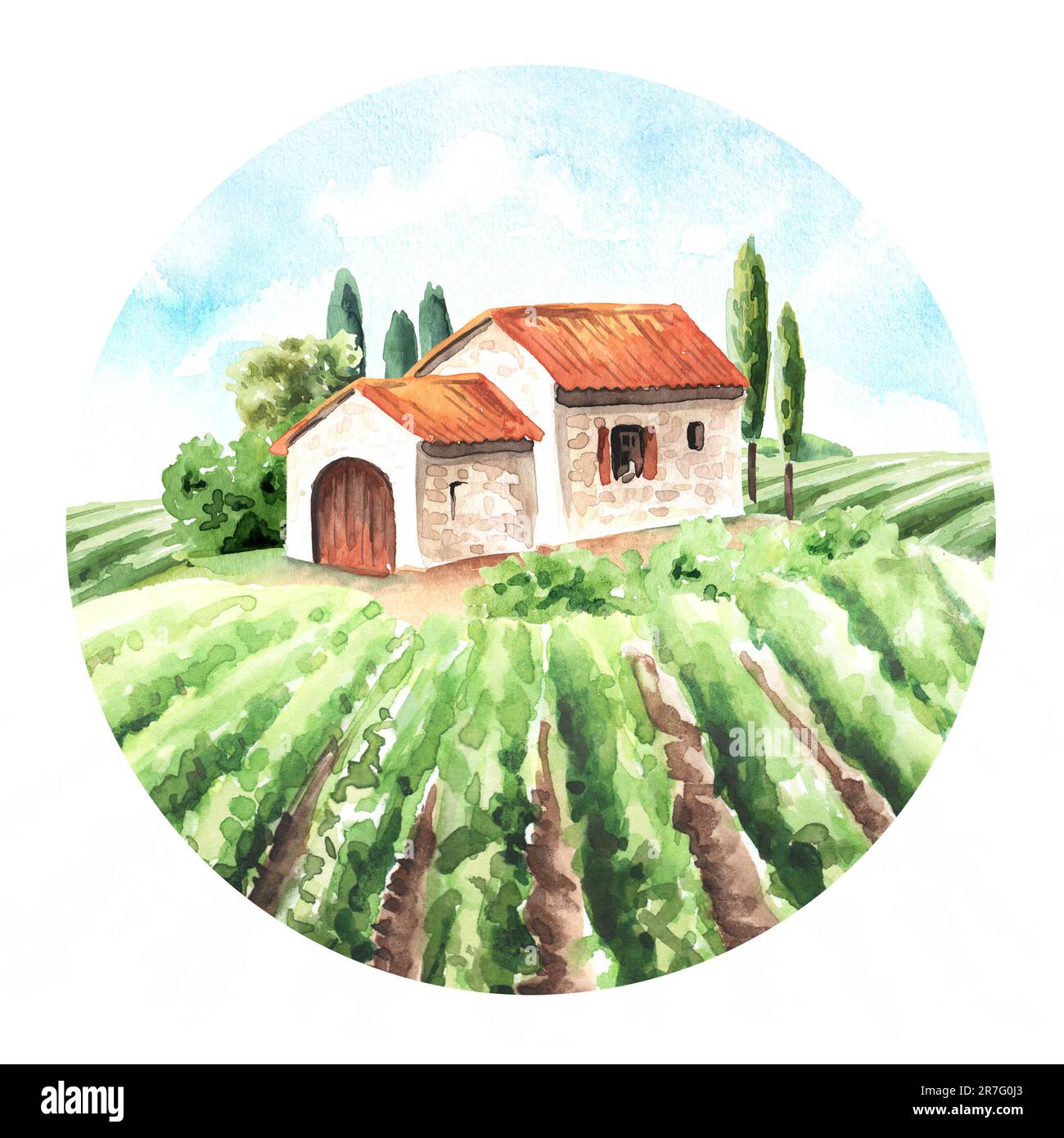Landscape with vineyard and Tuscan house, Hand drawn watercolor illustration Stock Photo - Alamy