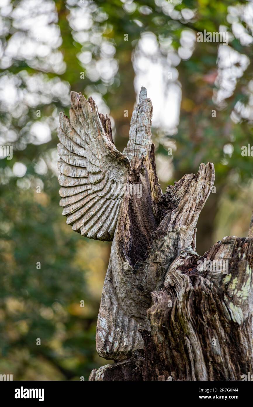 old decaying carved wooden garden sculpture made from the trunk of an ...