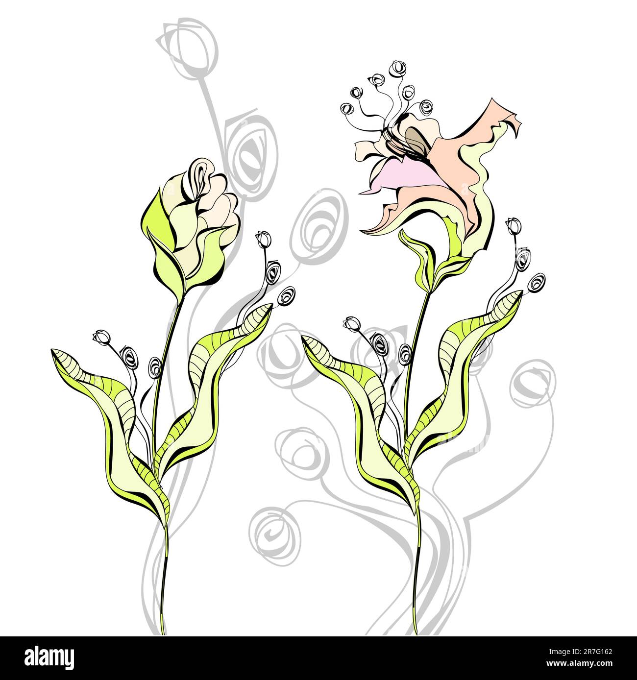 Plant two flowers Stock Vector Images - Alamy