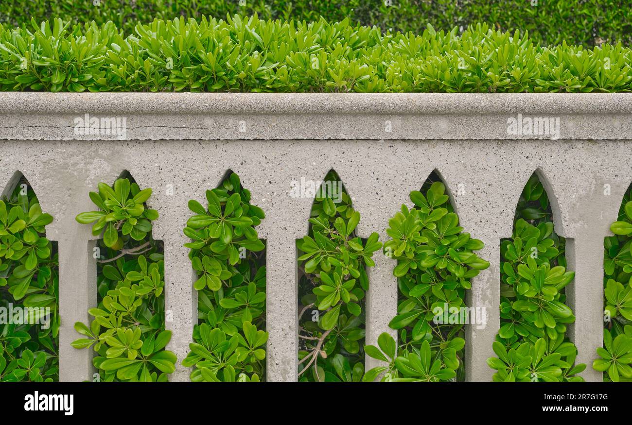 Gothic gardening hi-res stock photography and images - Alamy