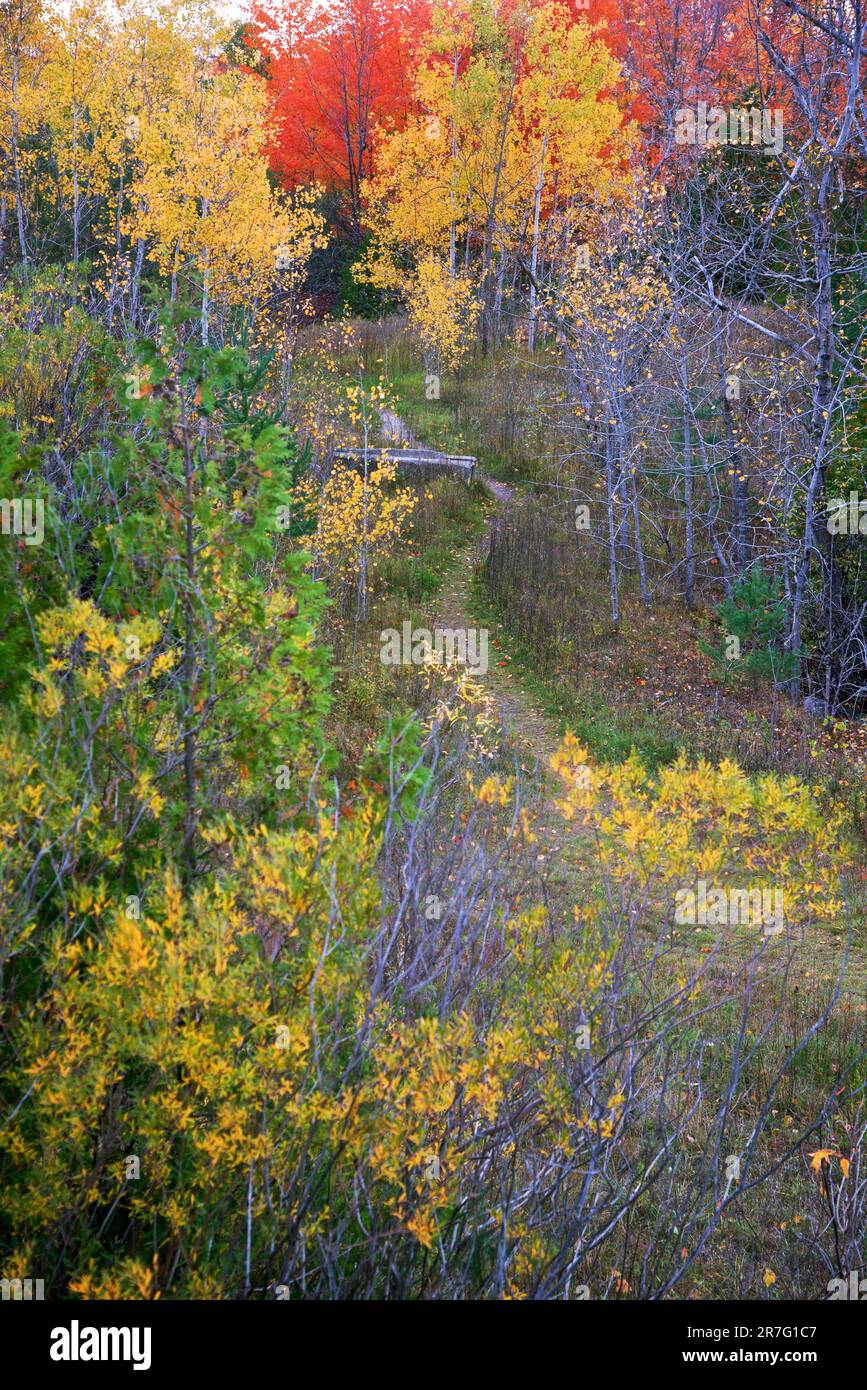Environmental footpath hi-res stock photography and images - Alamy