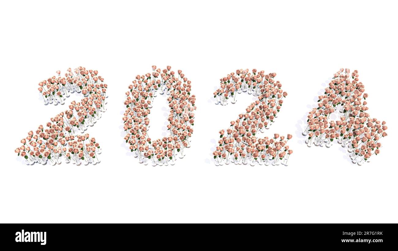 Concept or conceptual set of beautiful blooming pink roses bouquets ...