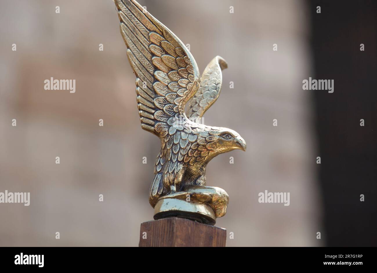 The Eagle, the emblem of the Roman legions. Selective focus Stock Photo ...