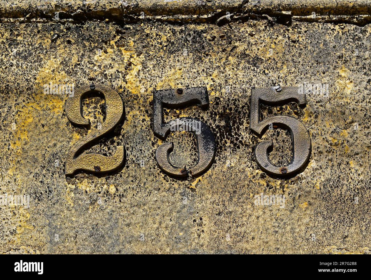 255 hi-res stock photography and images - Alamy