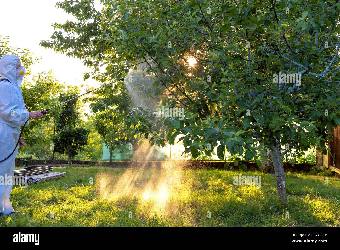 A gardener in a protective suit, mask and glasses uses a professional ...