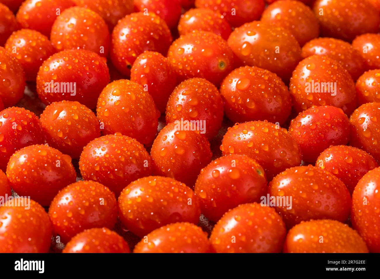Red Raw Organic Cherry Tomatoes Ready to Eat Stock Photo - Alamy