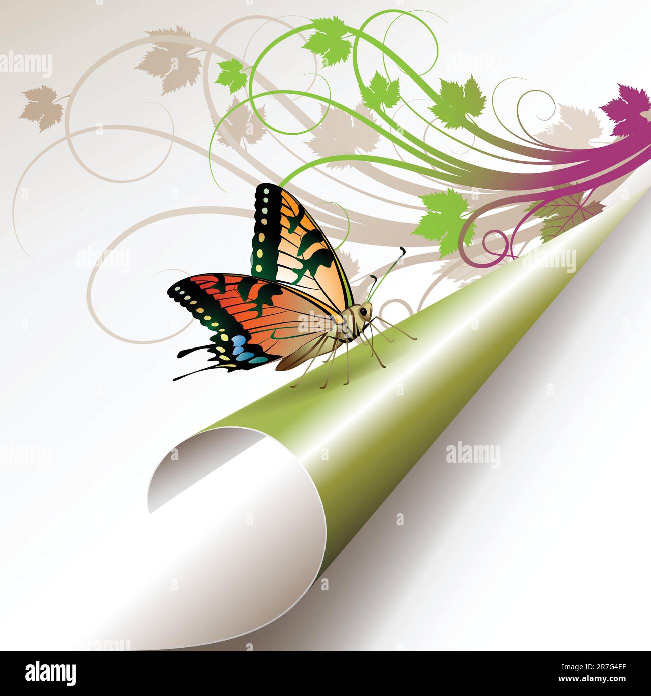 Curled corner page Stock Vector Images - Alamy