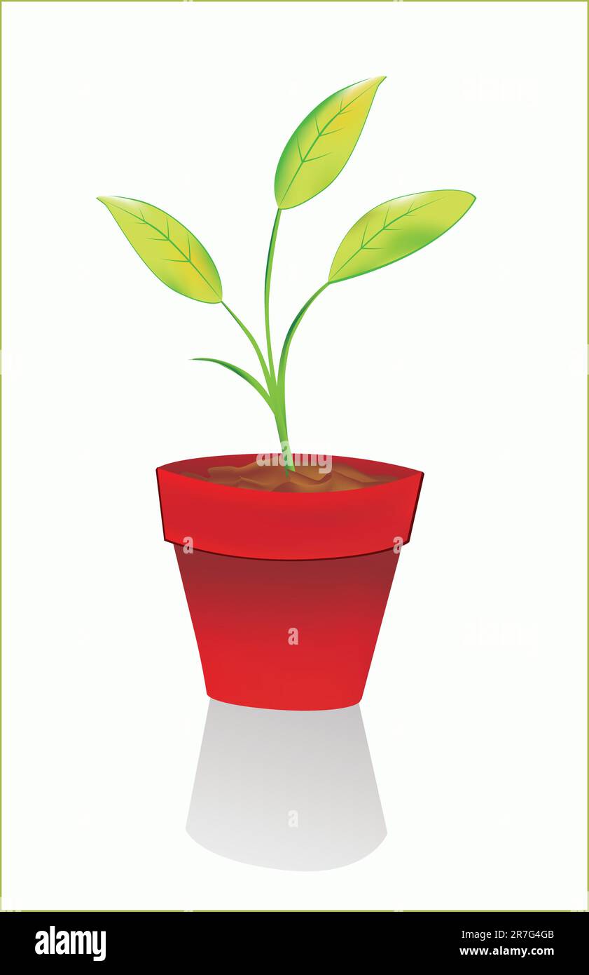 Plant sprout in ground Stock Vector Images - Alamy