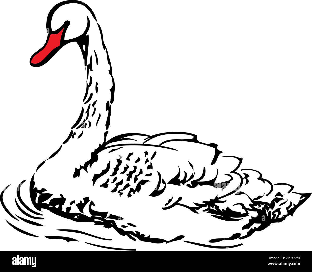 White Swan Vector Illustration Stock Vector Image And Art Alamy