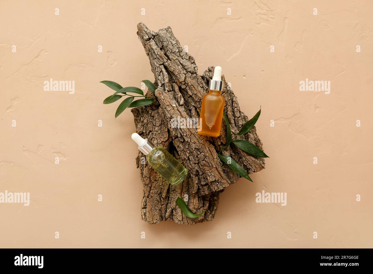 Bottles of essential oil, tree bark and plant leaves on color ...