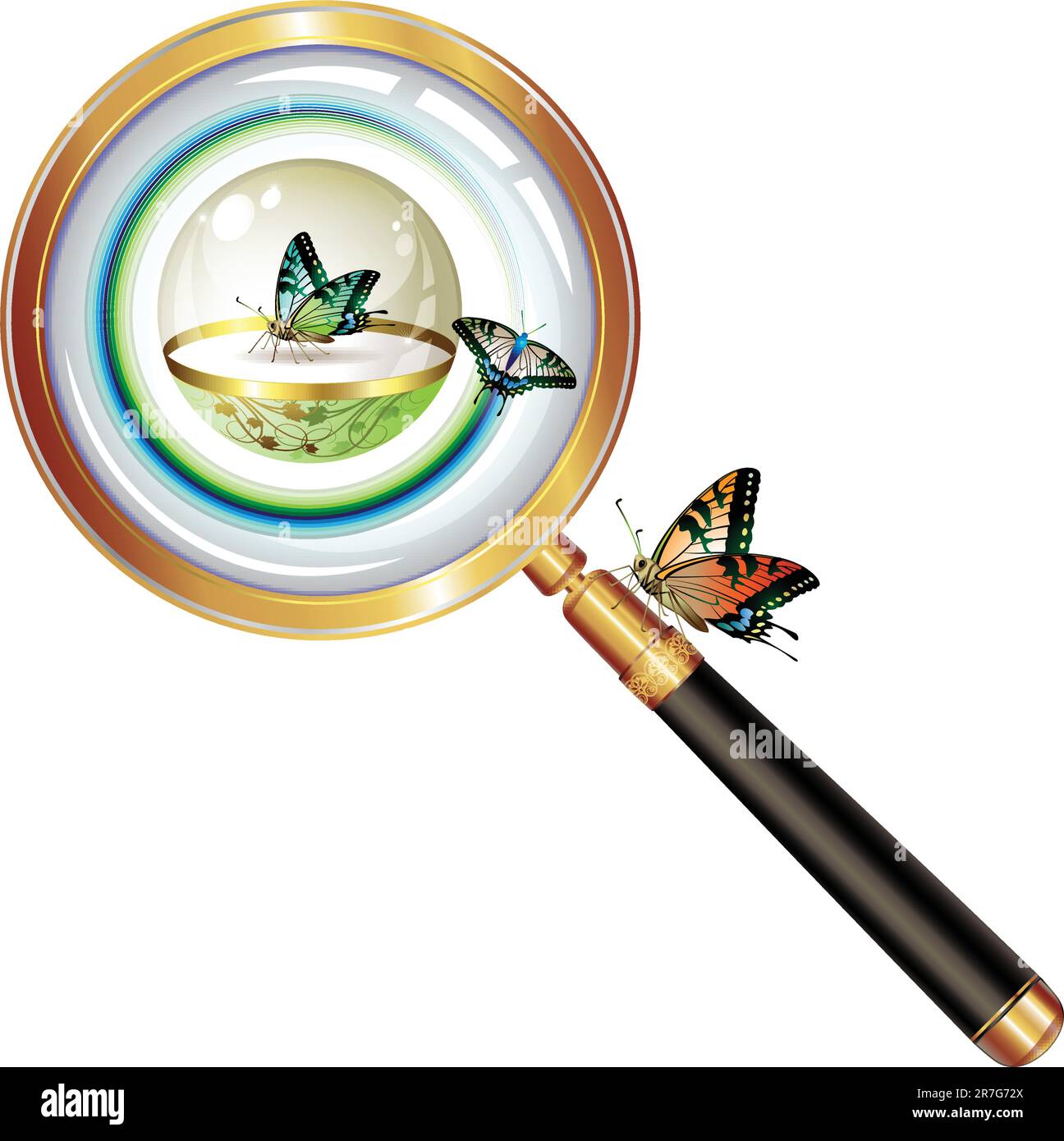 Magnifying glass and butterfly isolated on white background Stock ...