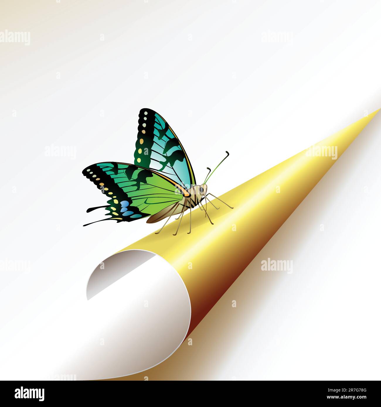 Curled corner page Stock Vector Images - Alamy