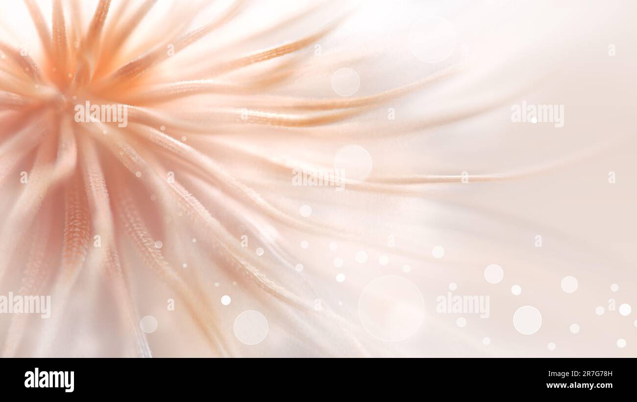 Pastel delicate abstract soft background copy space. Blur gentle ...