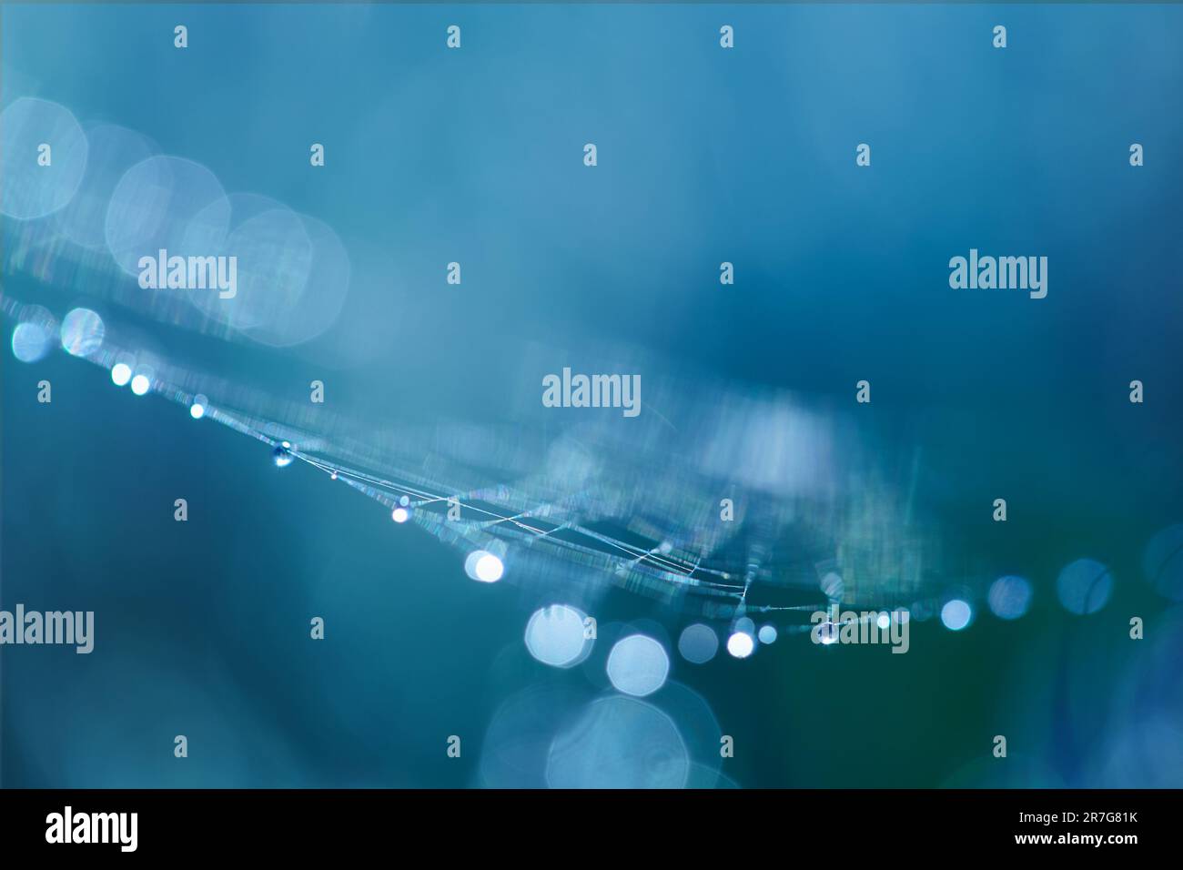 Abstract blurred blue background with bokeh. Blurred cobwebs in the dew ...