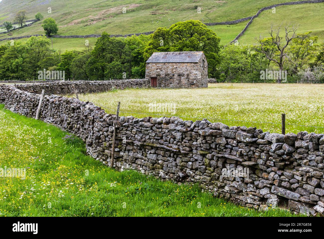Barn and hay meadows in Swaledale, North Yorkshire Stock Photo - Alamy
