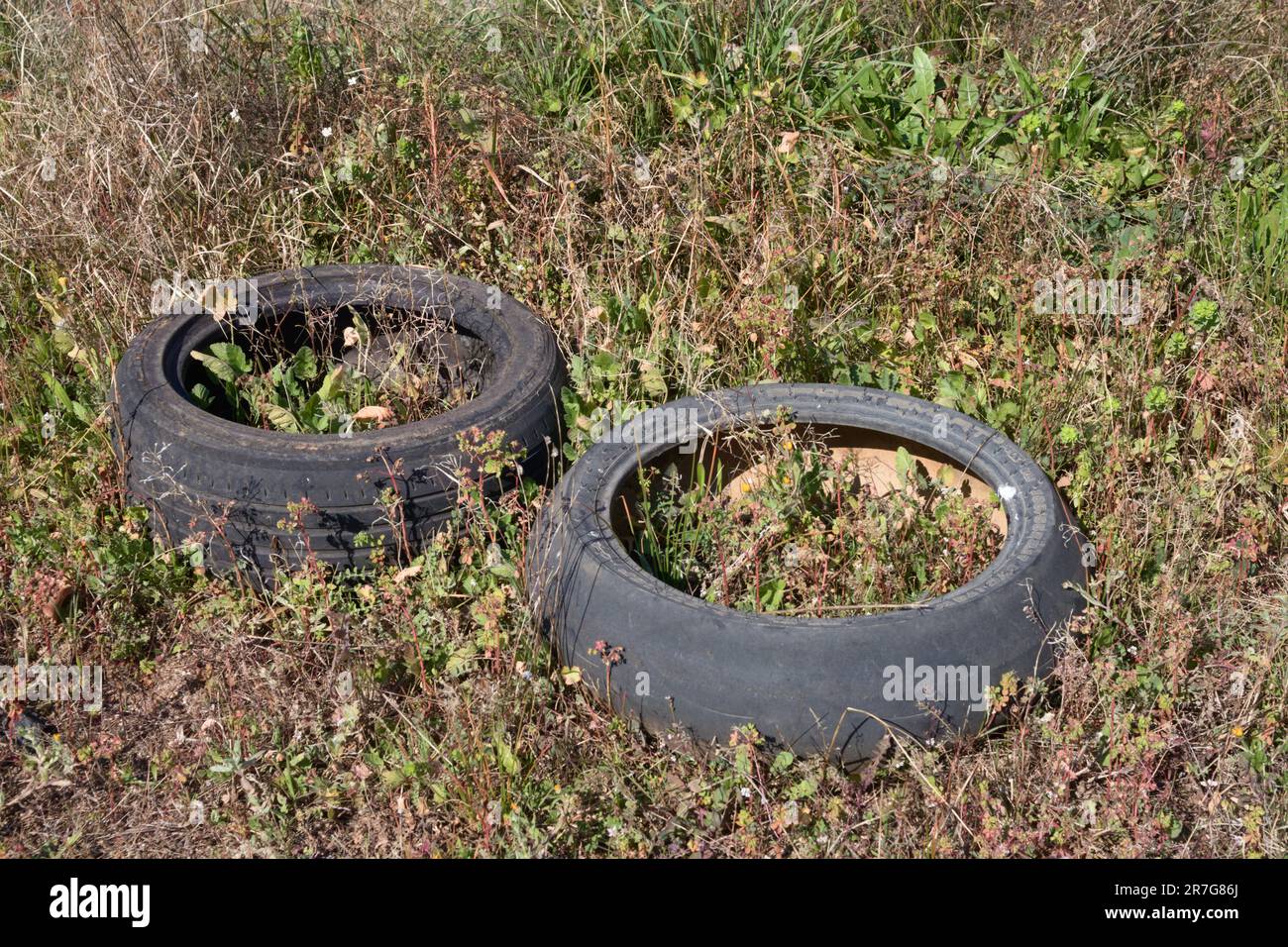 Image of used tires thrown as garbage in a natural area decompose while ...