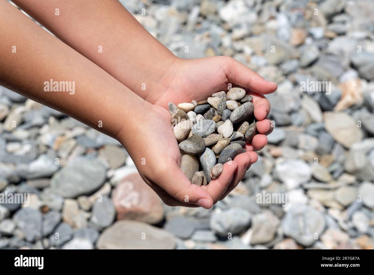 Close-up of hands showing a set of stones. Beaches of rocks Stock Photo ...