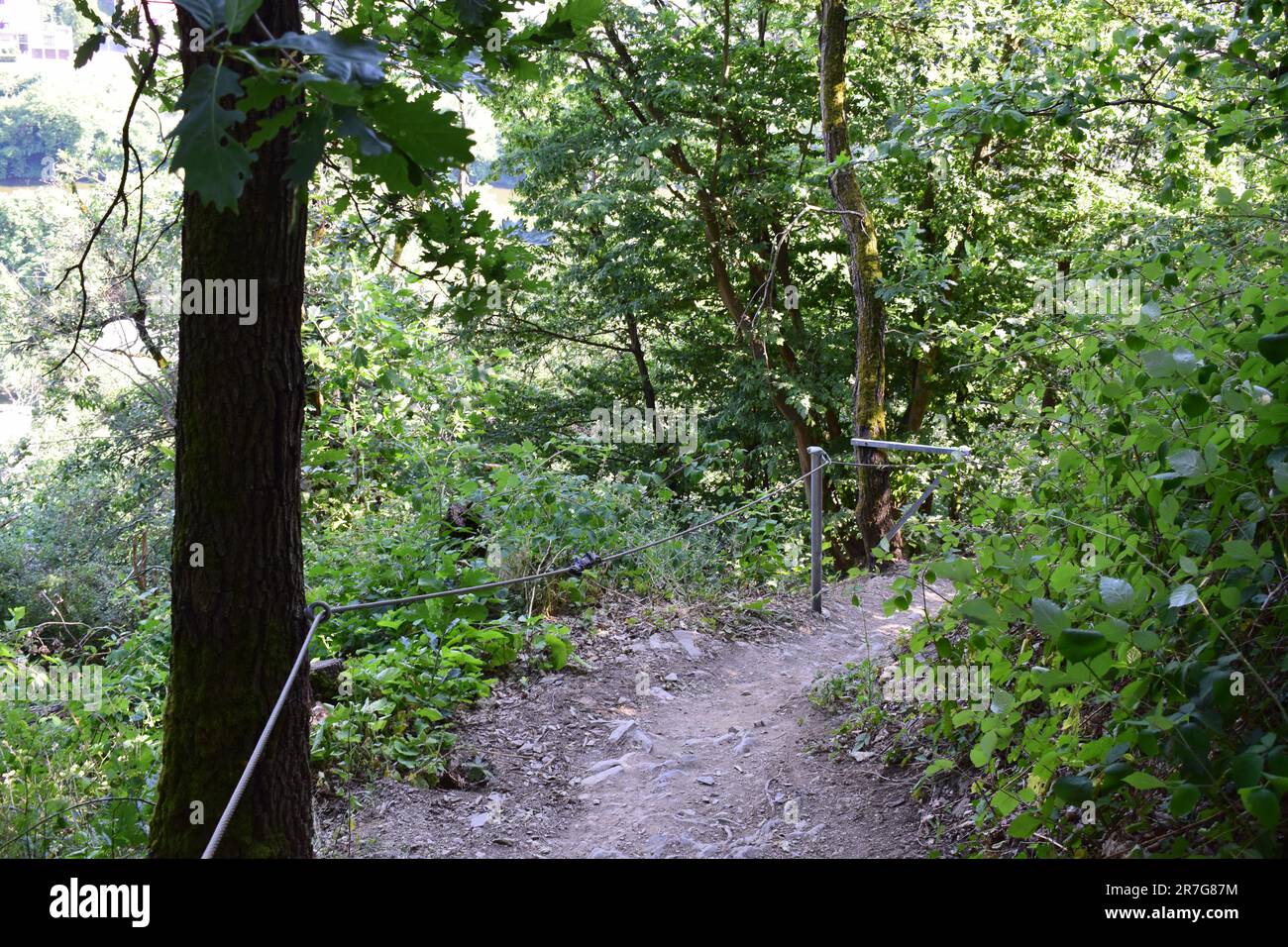 Westerwald steep path hi-res stock photography and images - Alamy