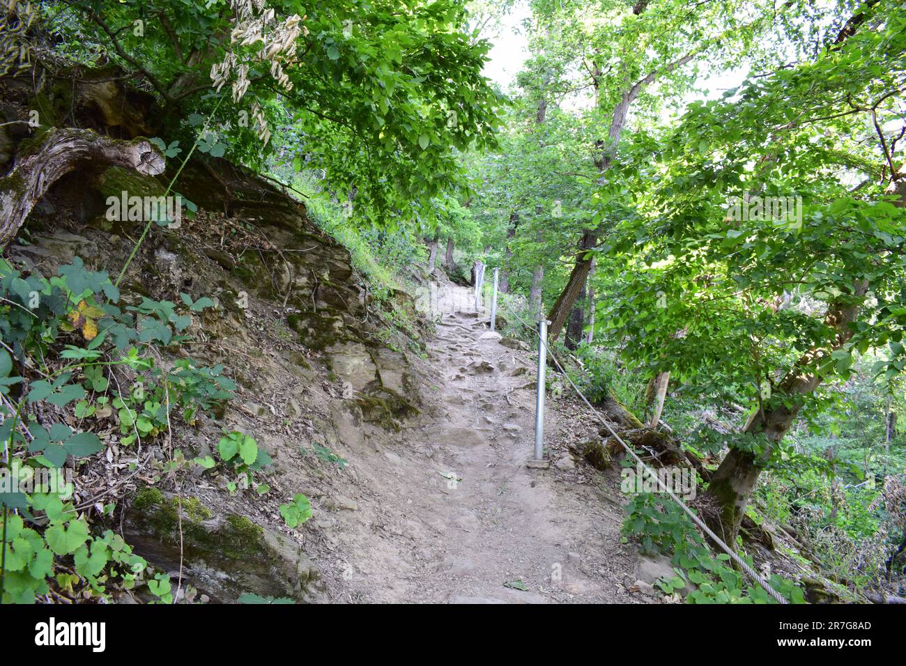 Westerwald steep path hi-res stock photography and images - Alamy