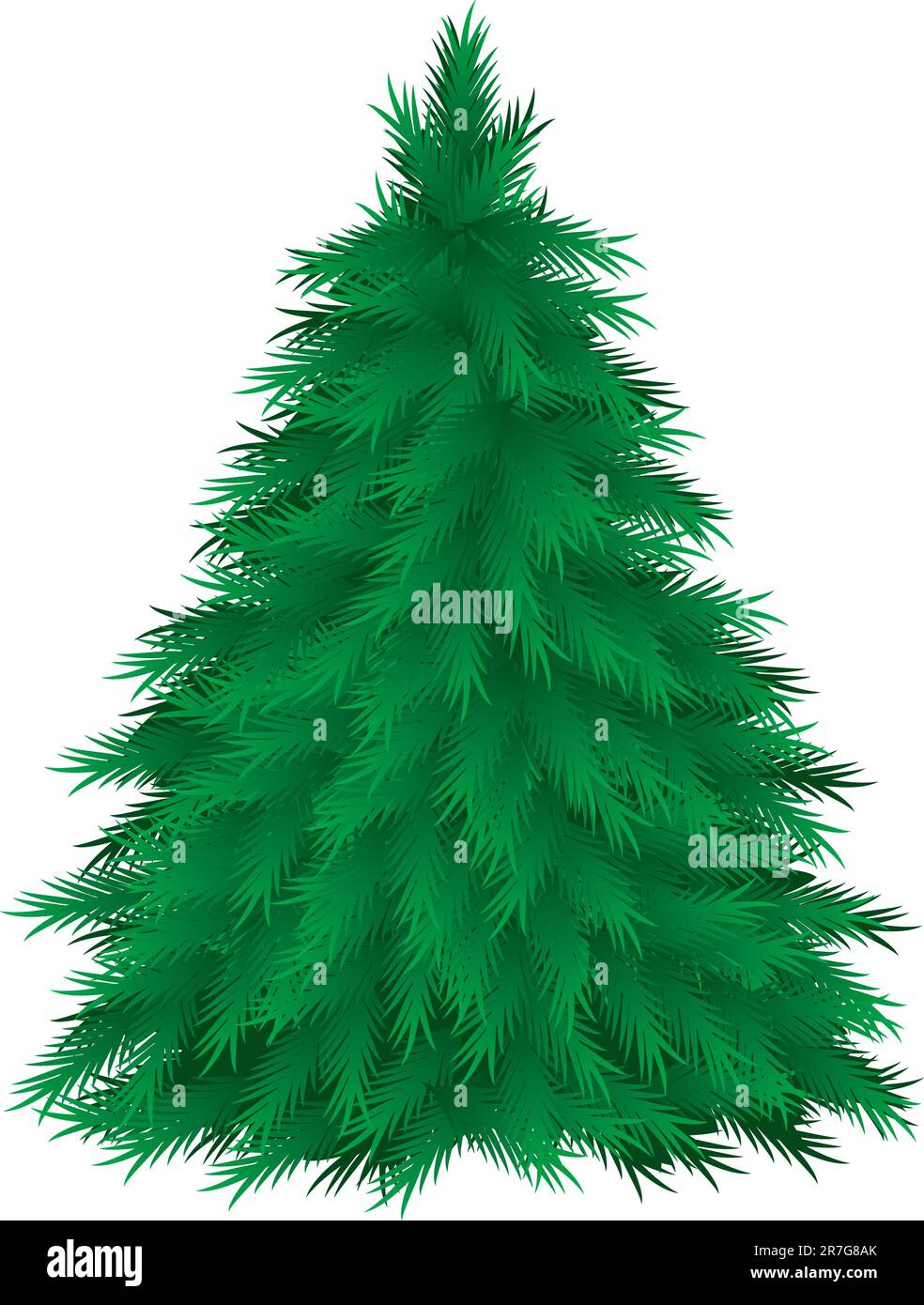 Coniferous tree isolated. Vector illustration on white background Stock ...