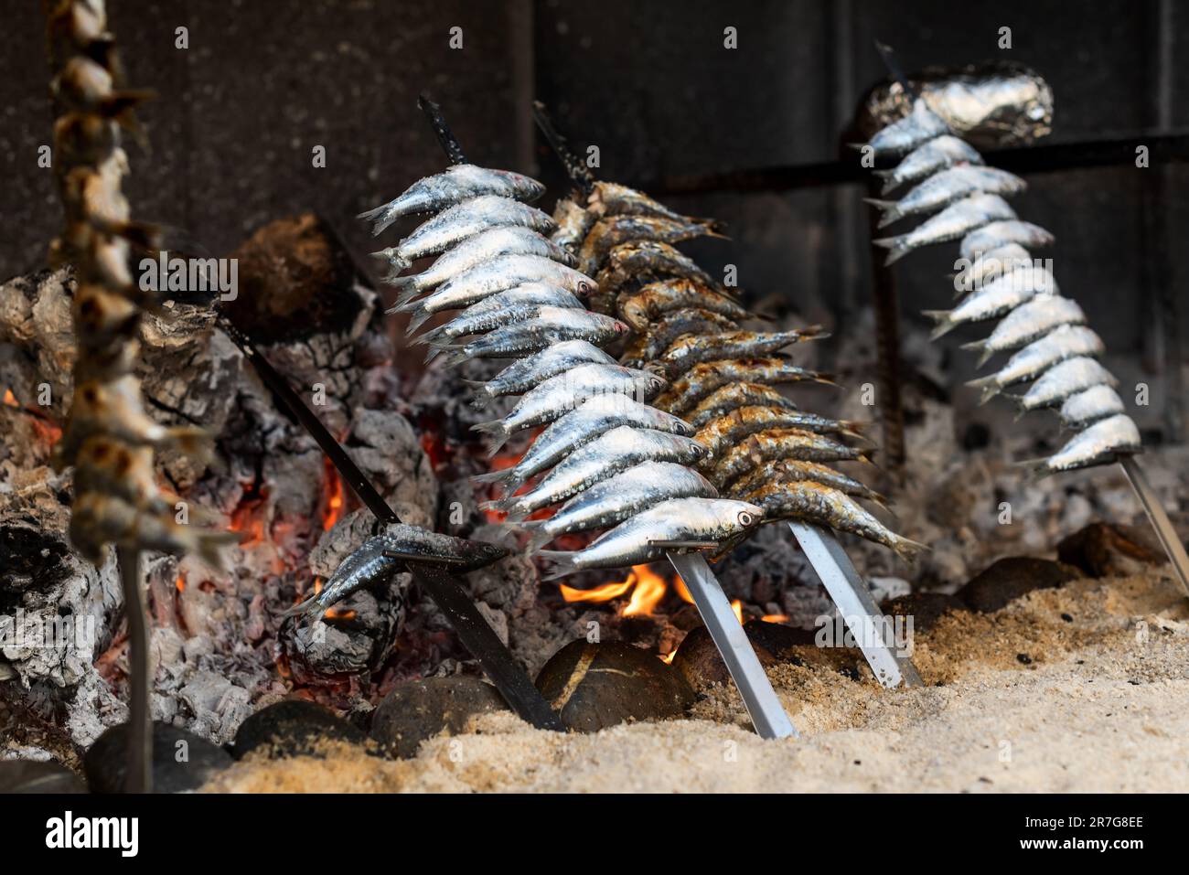 Close-up of sardine "espetos" (sardine skewers) being cooked next to ...