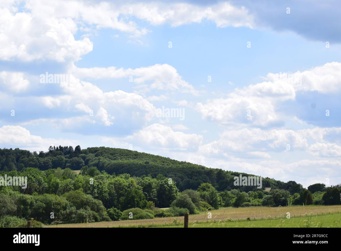 Eifel landscape in summer Stock Photo - Alamy
