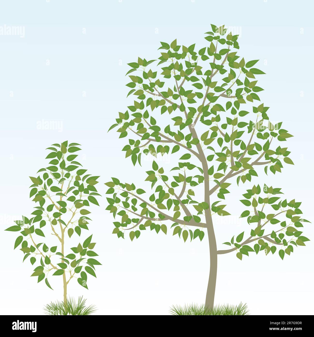 Small tree trunk bark Stock Vector Images - Alamy