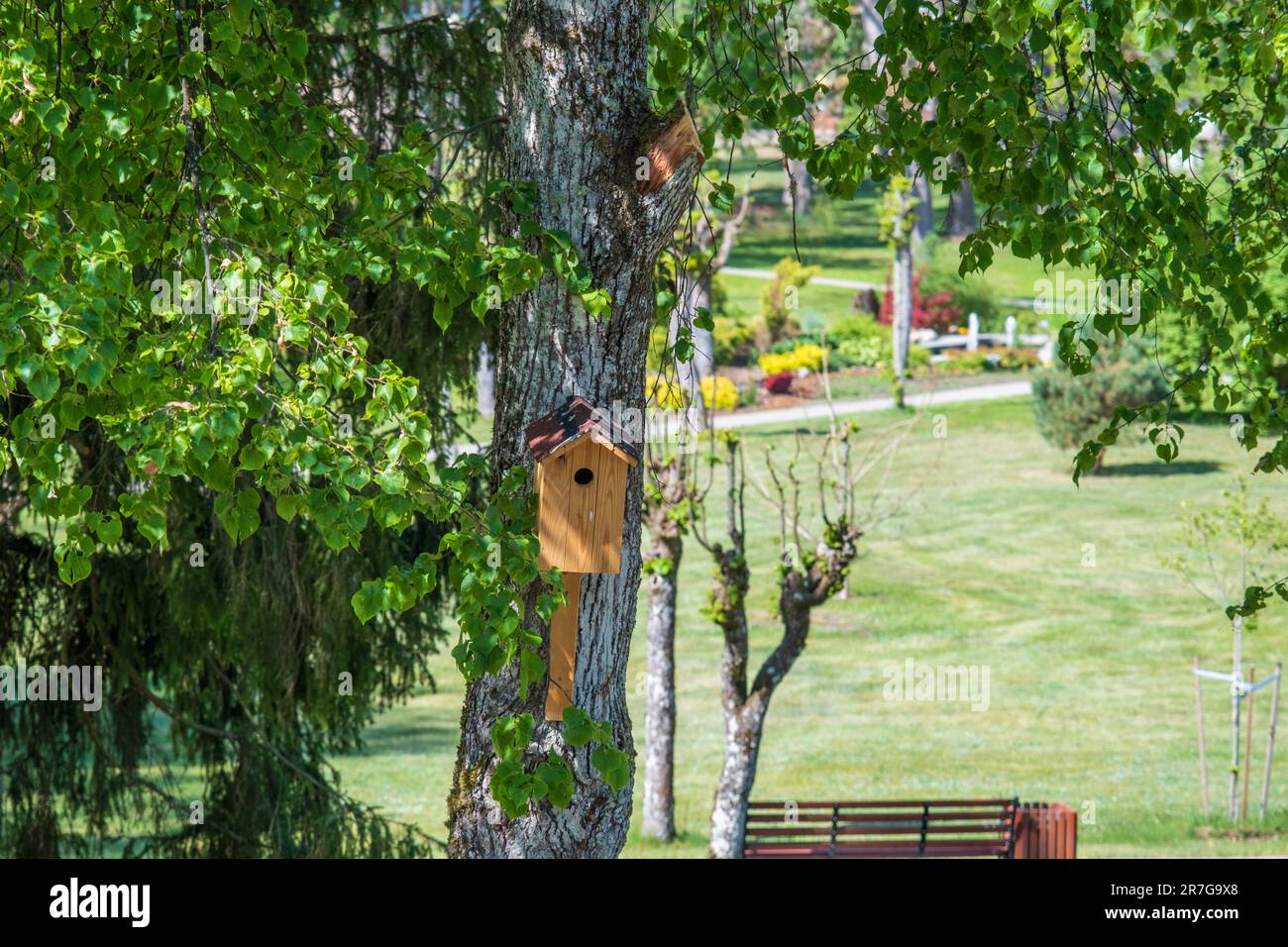 Nest box on a tree, New nest box. Wooden birdhouse, Birdbox, bird box ...