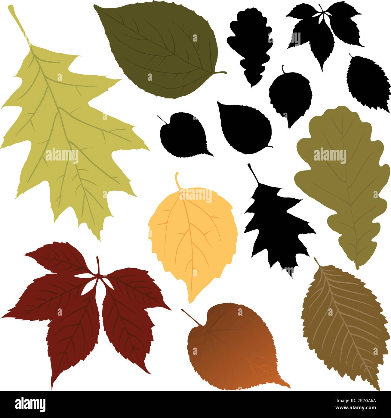 Golden silhouette leaves Cut Out Stock Images & Pictures - Alamy