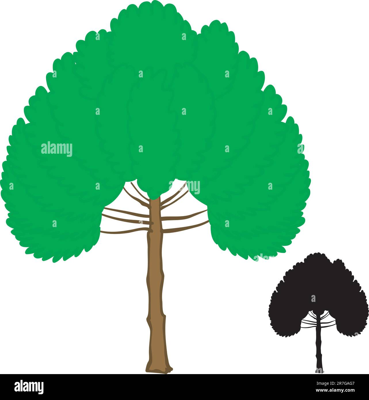 Live Oak Tree Canopy Stock Vector Images Alamy