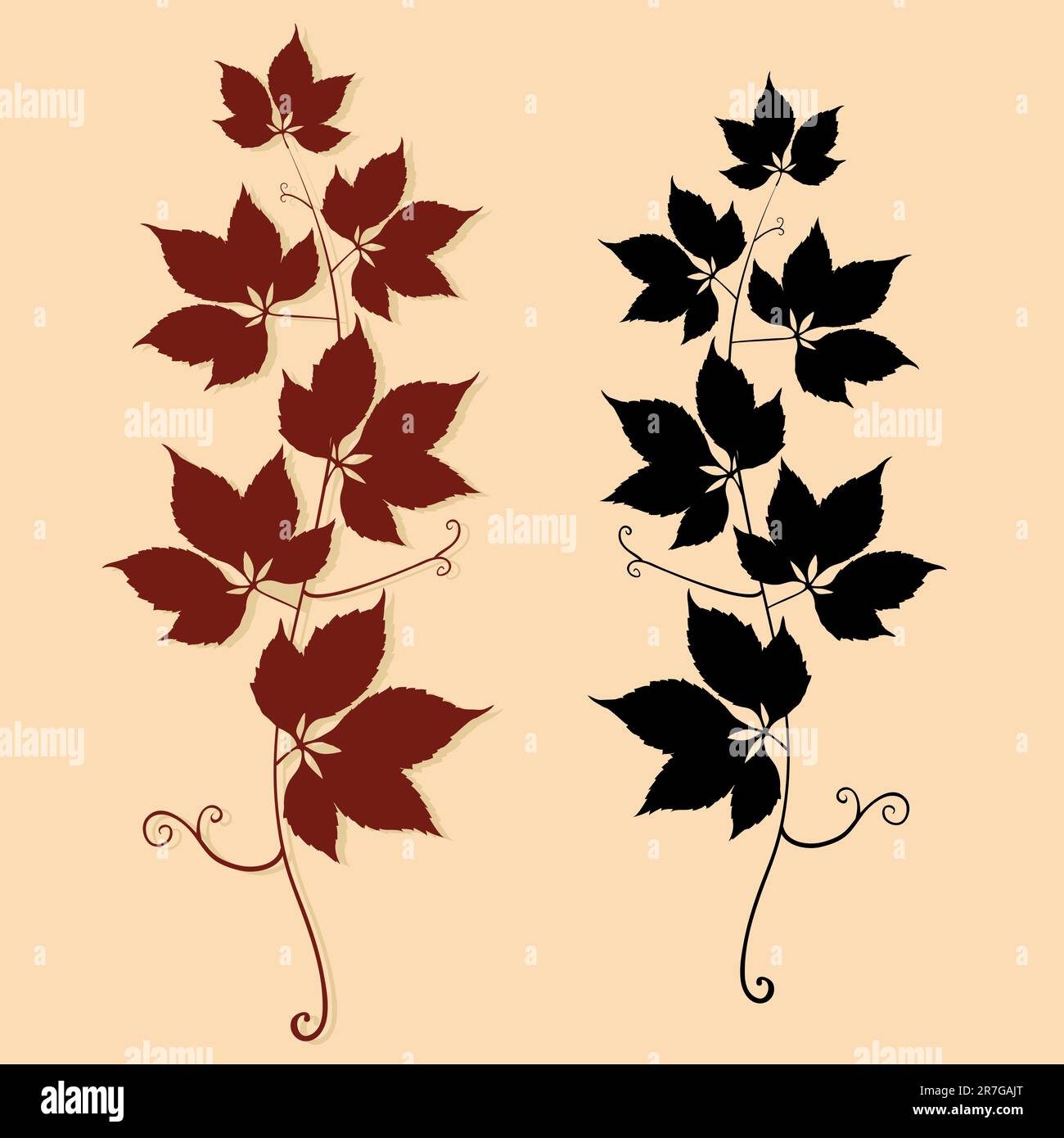 Grapple plant Stock Vector Images - Alamy