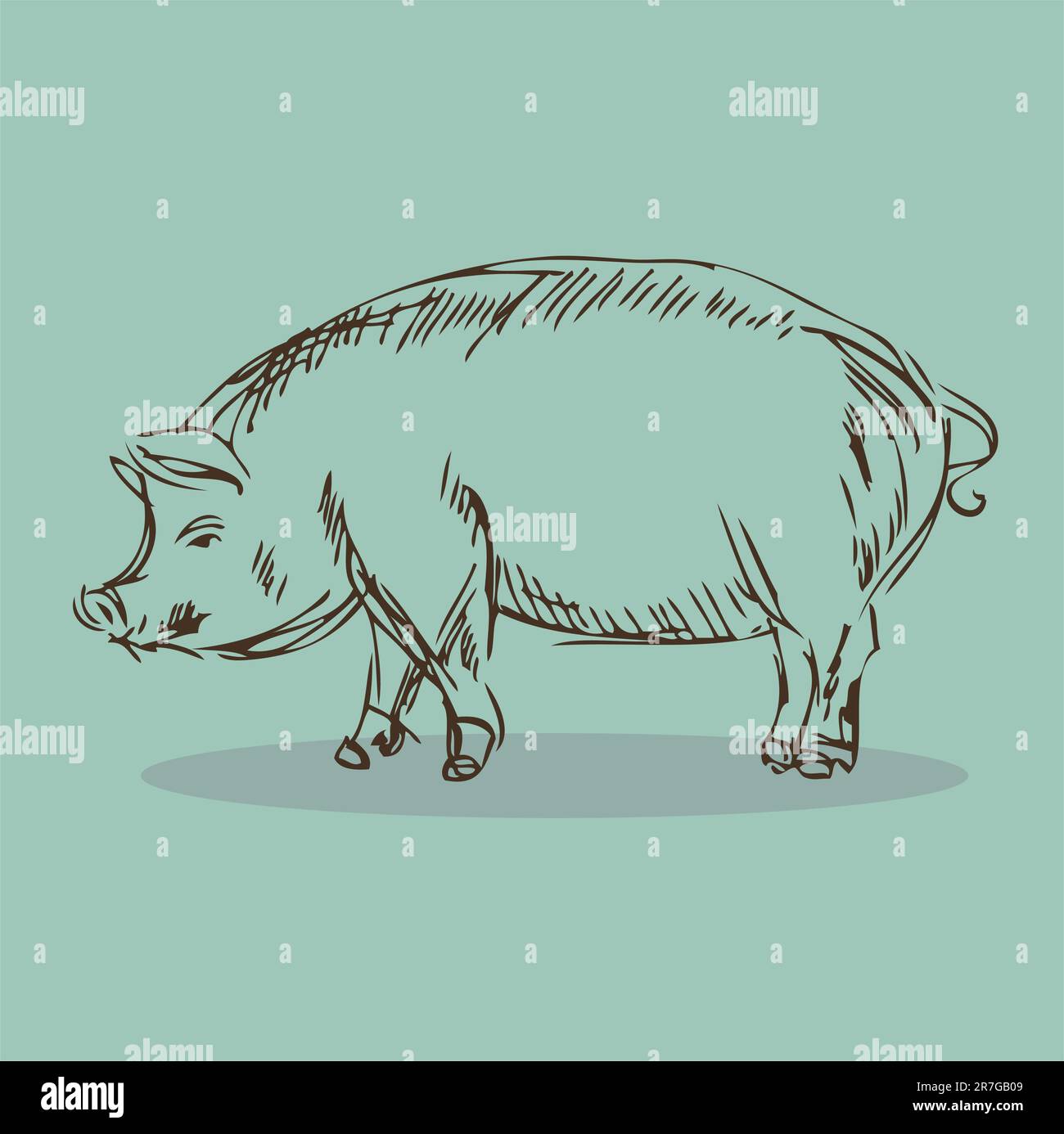 Pig Vector Illustration Stock Vector Image & Art - Alamy