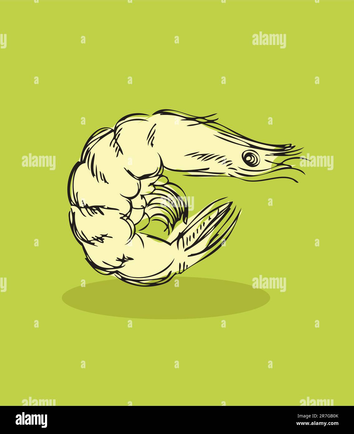 Shrimp vector illustration Stock Vector Image & Art - Alamy