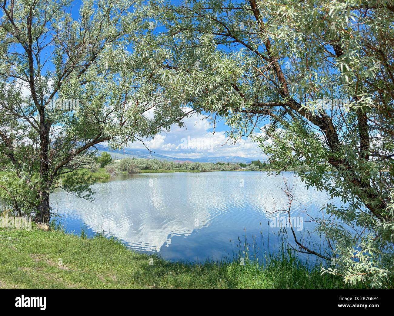Oval framed scene hi-res stock photography and images - Alamy