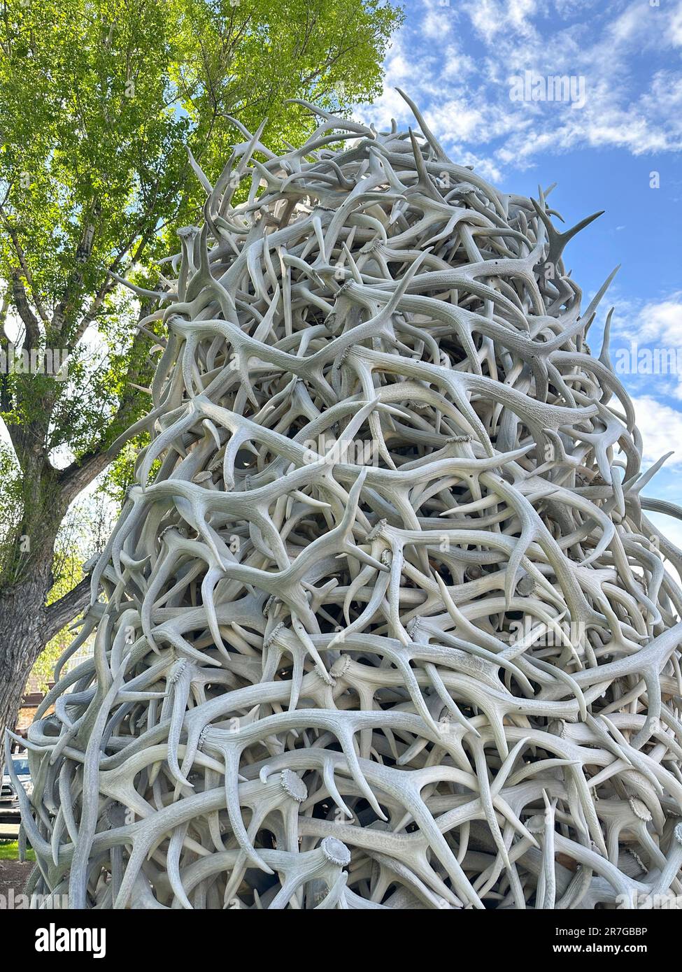 Elk horn tower archway sculpture is in Jackson Hole, Wyoming with tree ...
