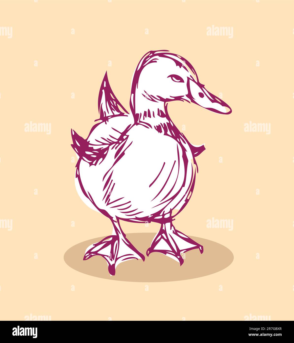 duck vector Isolated on background Tattoo retro style Stock Vector ...