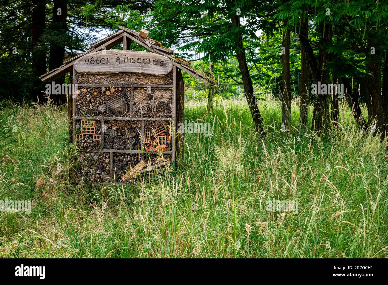 Insect house in the garden. One wooden Bug hotel at the park with ...