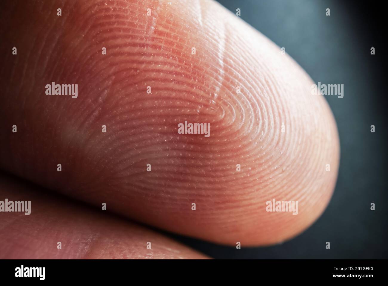 Extreme close up fingerprint hi-res stock photography and images - Alamy