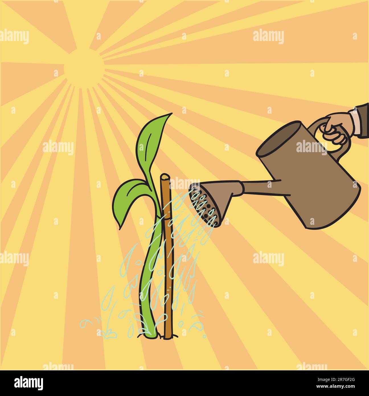 Watering of sprout Stock Vector Image & Art - Alamy