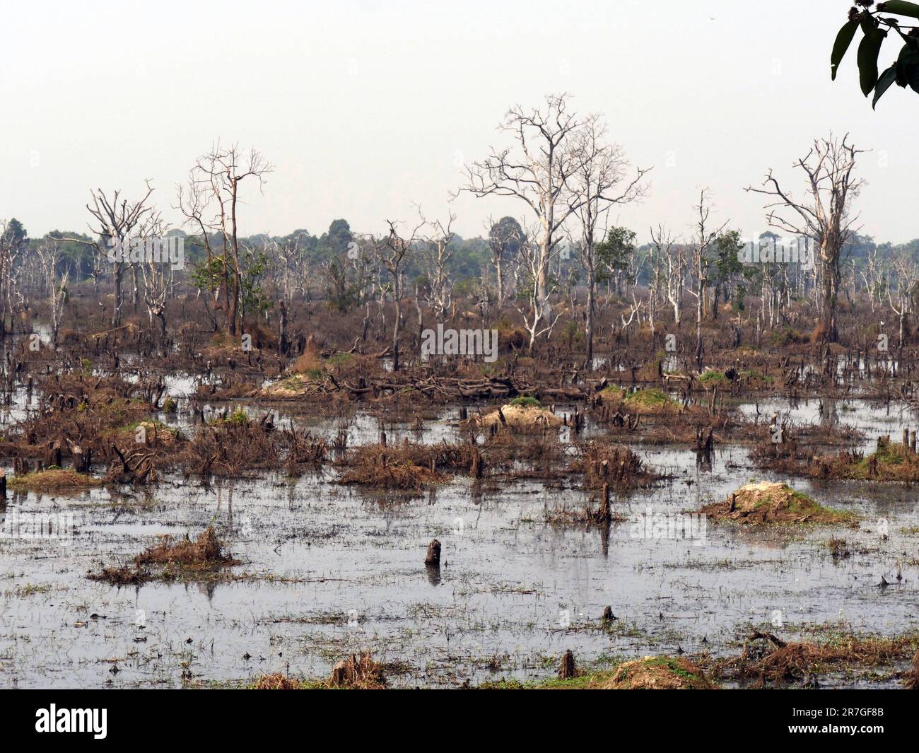 Moats neer Neak Pean Royal Reservoirs, Siem Reap Province, Angkor's ...