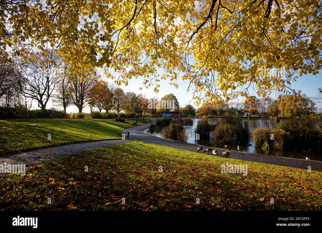 Clarence park lido hi-res stock photography and images - Alamy