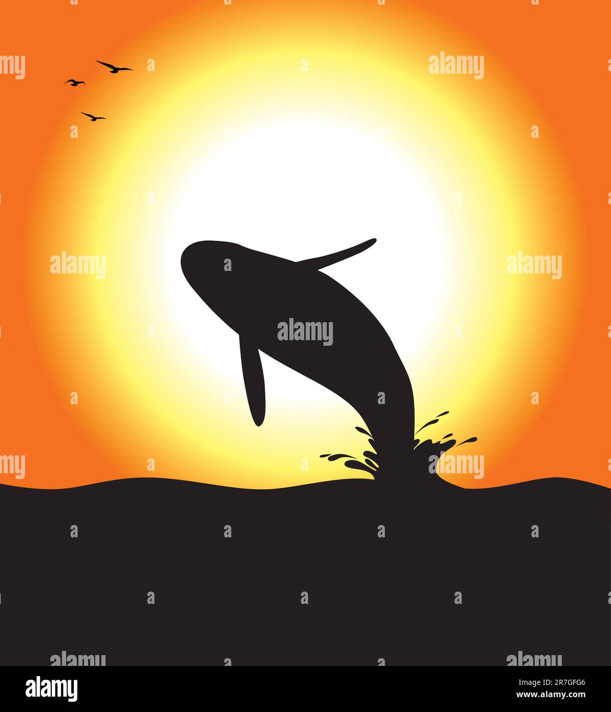 Orca Silhouette Page 5 | Orca Silhouette Vector Art, Icons, And