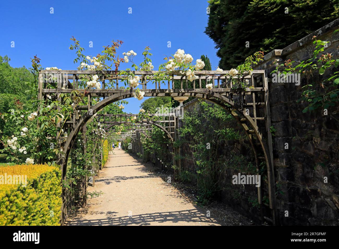 Rose pergola walk, St Fagans Museum - The National History Museum of ...