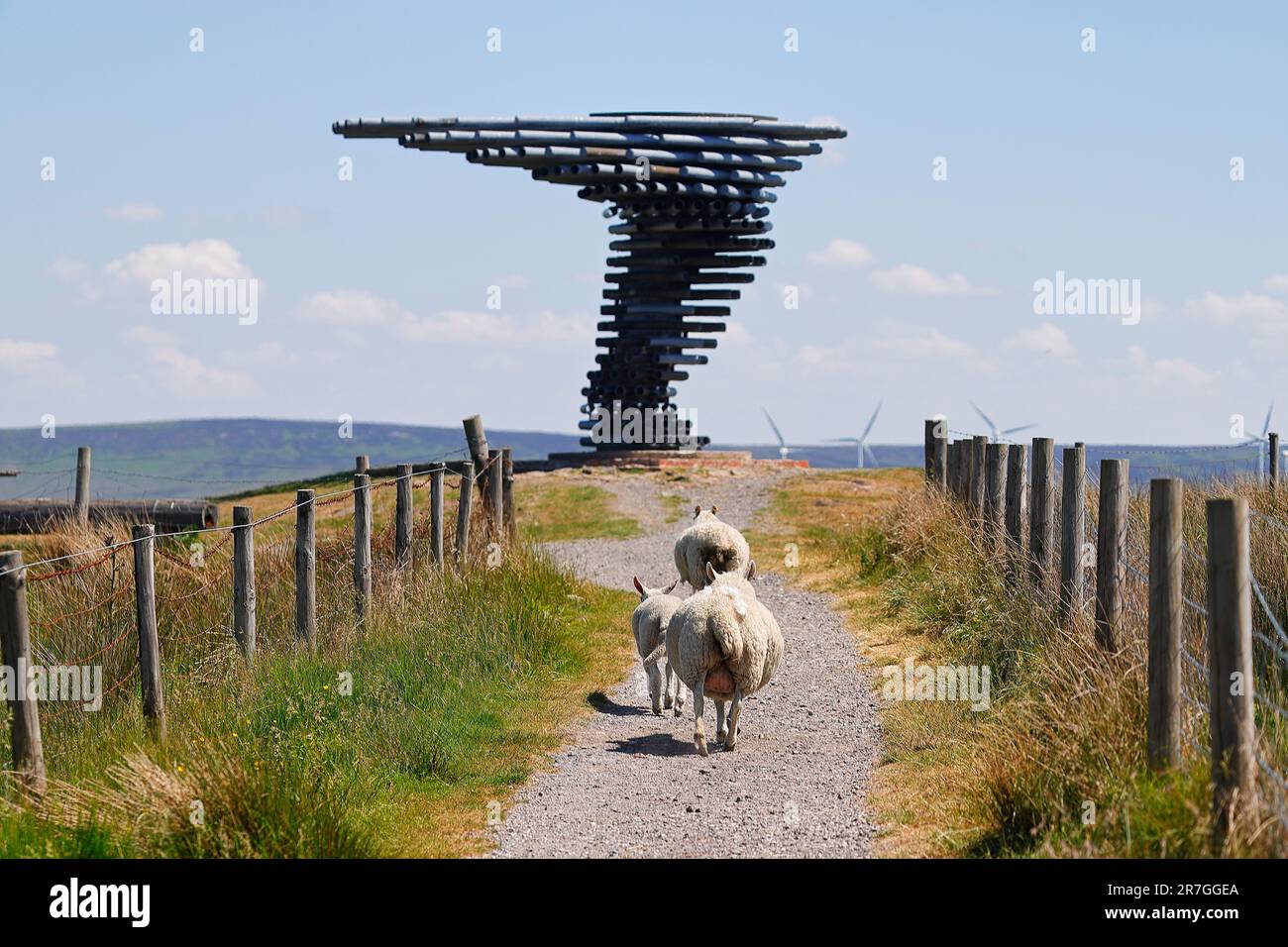 The Singing Ringing Tree at Crown Point in Burnley,Lancashire,Uk. It is ...