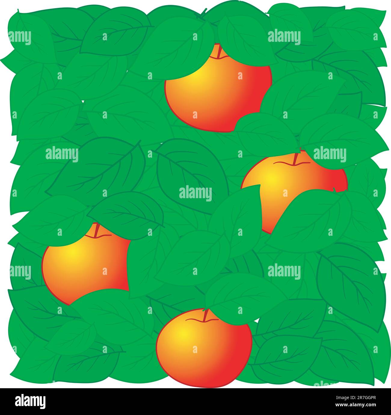 Culinary apple tree Stock Vector Images - Alamy