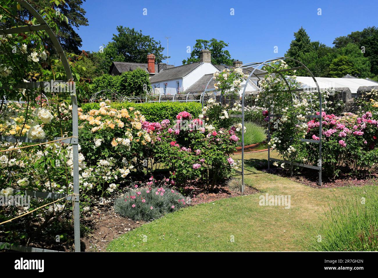 The rose garden st fagans museum the national history hi-res stock ...