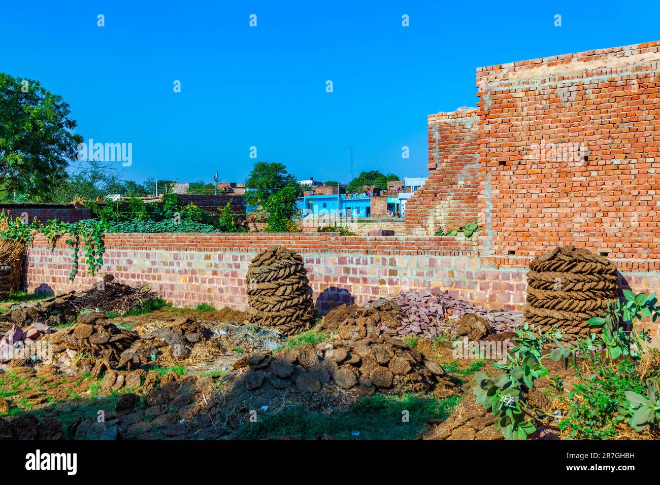 dried cow dung as burning material for fire and heating in India Stock ...