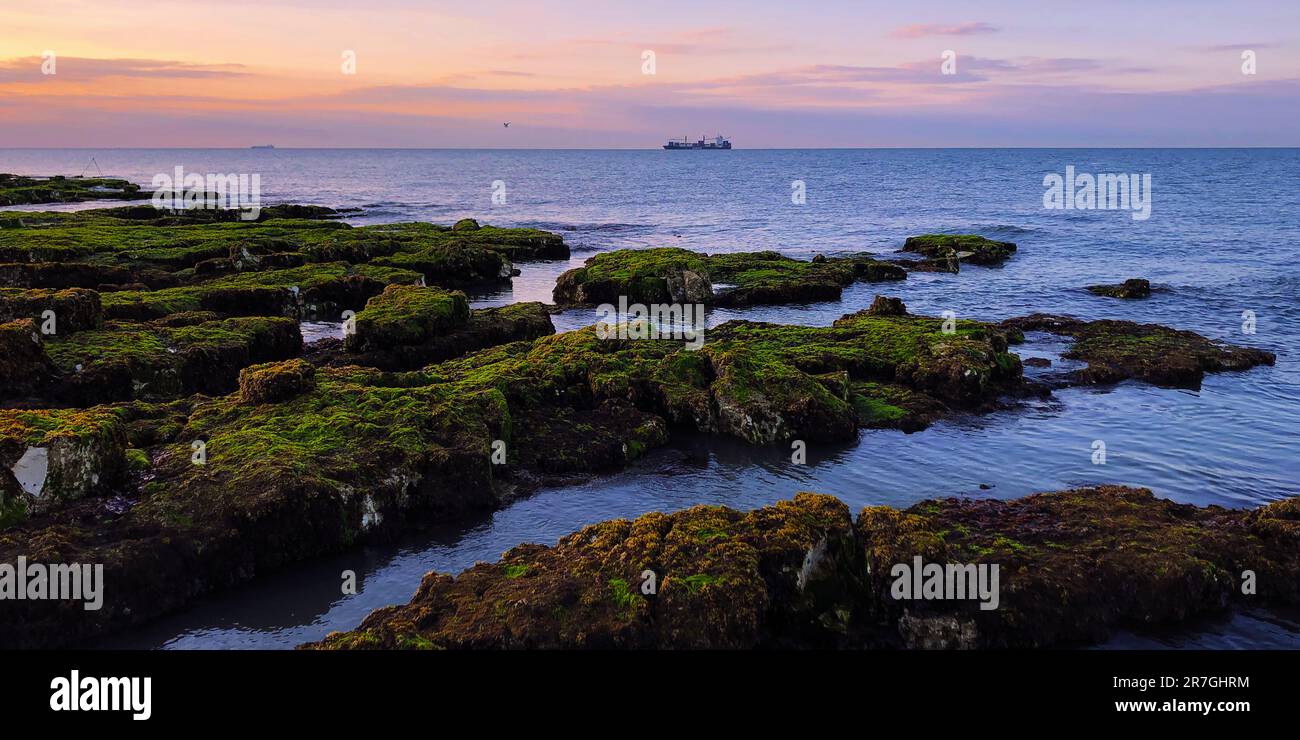 Low tide coastal view from Botany Bay, large ship on the shoreline, in ...