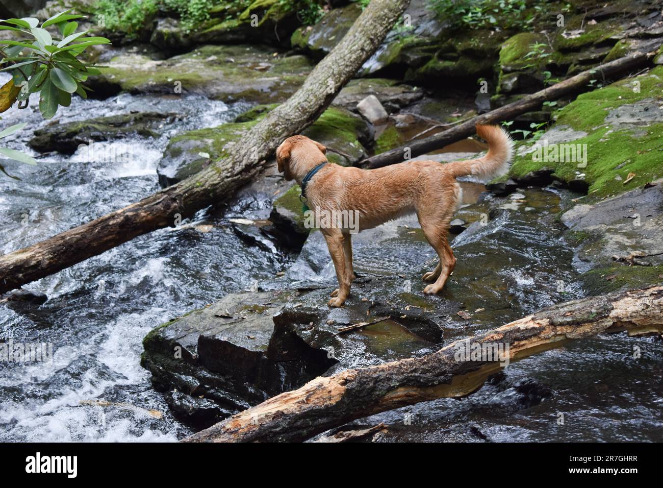 Rushing water river on adventure hi-res stock photography and images ...