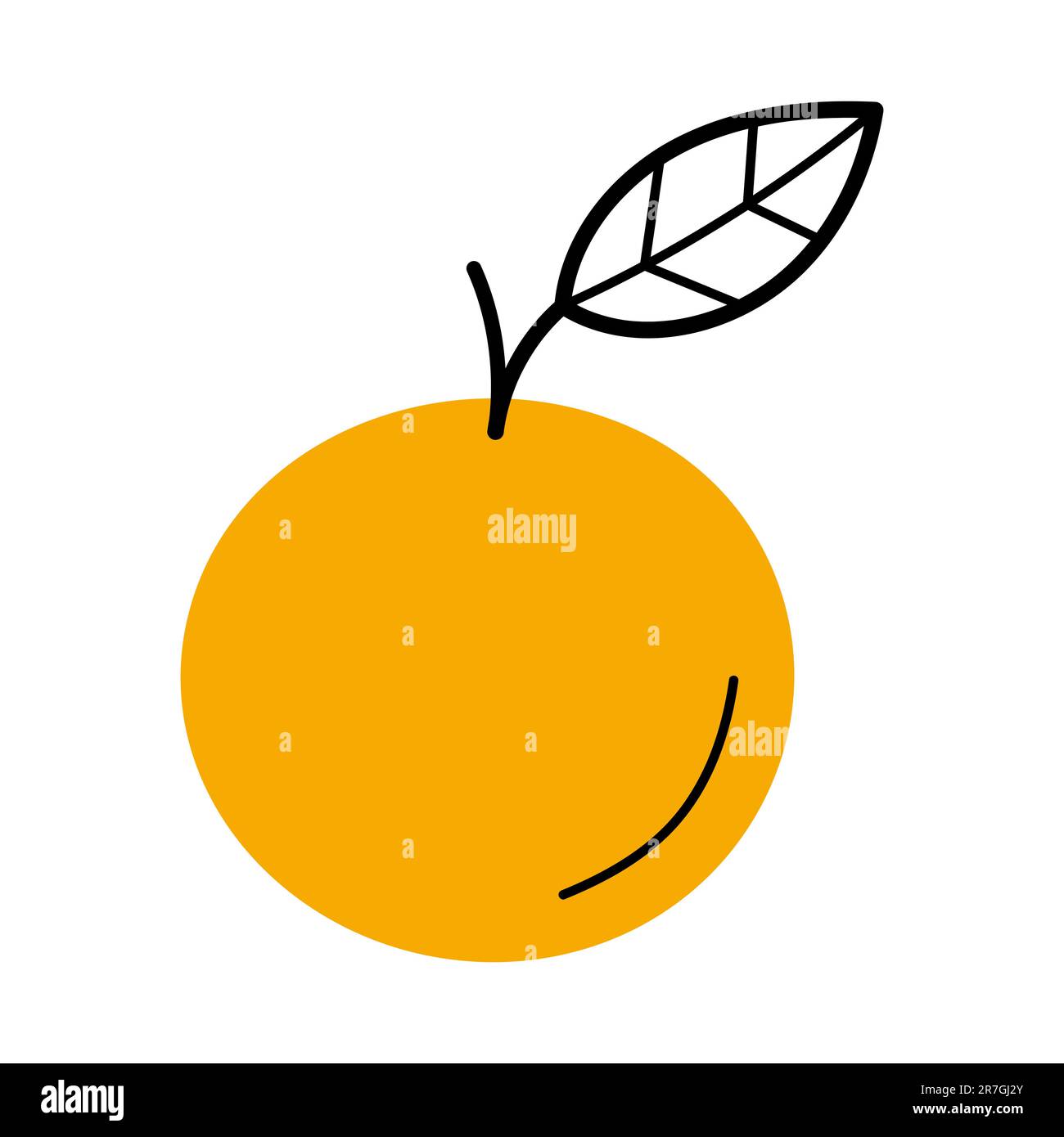 Whole fresh orange with twig and leaf. Hand drawn sketch icon of citrus ...